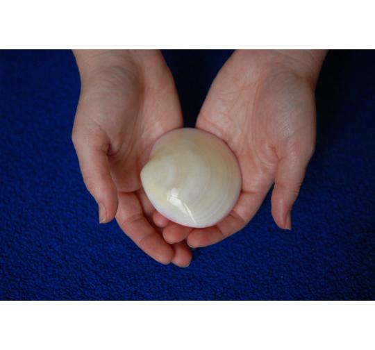 Therapies » Oxford Street Therapy Centre